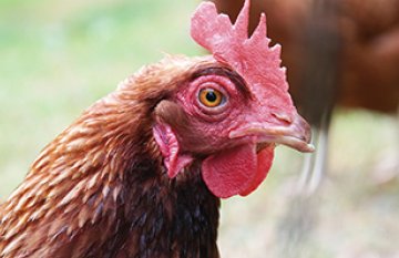 Corio Library | Geelong Regional Libraries