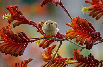 Corio Library | Geelong Regional Libraries